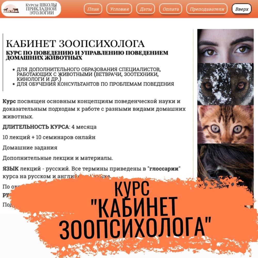 Школа Прикладной этологии