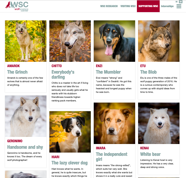 Обзор по Wolf Science Center в Австрии